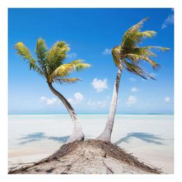 Bilderwelten Alu-Dibond Outdoor Bild Urlaub unter Palmen