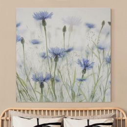 Akustikbild Kornblumen und Gr&auml;ser im Feld