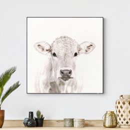 Bilderwelten Wechselbild Wei&szlig;es Kalb
