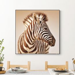 Bilderwelten Wechselbild Zebra Baby Portrait