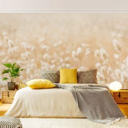 Bilderwelten Fototapete Zarte Gr&auml;ser selbstklebende Tapete - Bl&uuml;ten sanft Gras beige wei&szlig; - Wandtapeten Fototapete Wohnzimmer Schlafzimmer - Vliestapete nach Ma&szlig;
