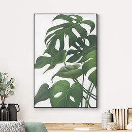 Bilderwelten Wechselbild Lieblingspflanzen - Monstera