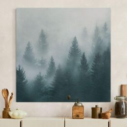 Akustikbild Nadelwald im Nebel