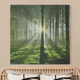 Akustikbild Spring Fairytale