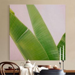 Akustikbild Bananenpalmenbl&auml;tter vor rosa Wand