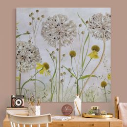 Akustikbild Allium und Helenium Illustration