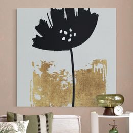 Akustikbild Goldene Mohn Blume