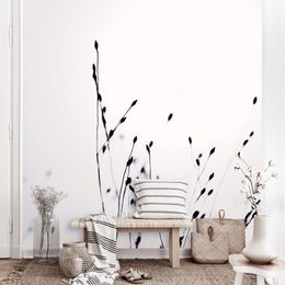 Bilderwelten Fototapete Blumen Landhaus Wandtapete schwarz weiss - Zarte Gr&auml;ser im nahen Schatten - Gr&auml;ser Wohnzimmer Schlafzimmer
