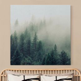 Akustikbild Wald im Nebel Erwachen