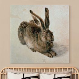 Akustikbild Albrecht D&uuml;rer - Junger Feldhase