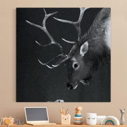 Akustikbild Illustration Hirsch und Hase Schwarz Wei&szlig; Malerei