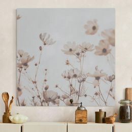 Akustikbild Cosmea im Sommer