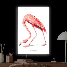 LED-Wechselbild Boho Vogel - Flamingo