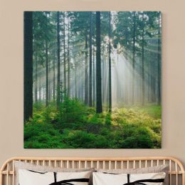 Akustikbild Enlightened Forest