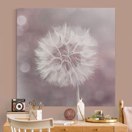 Akustikbild Pusteblume Bokeh rosa