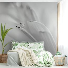 Bilderwelten Fototapete Touch Me Softly Schwarz-Wei&szlig; Botanik Blume Wohnzimmer,Schlafzimmer Vliestapete inkl. Kleister oder selbstklebend