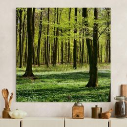 Akustikbild Waldwiese