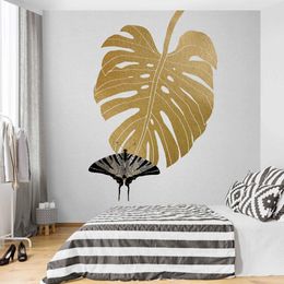 Bilderwelten Fototapete Goldene Monstera mit Schmetterling selbstklebende Tapete Goldeffekt Goldoptik Wandtapeten Wohnzimmer Vliestapete