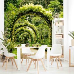Fototapete Weg durch den botanischen Garten von Singapur