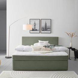 P & B Boxbett, Gr&uuml;n, Holz, Textil, Tanne, H3, 7-Zonen, H&ouml;he ca. 20 cm, 160x200 cm, Schlafzimmer, Betten, Boxspringbetten