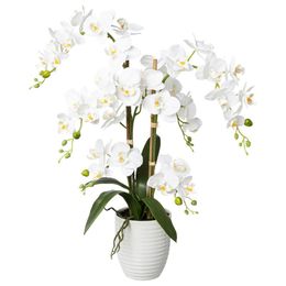 Kunstpflanze, Gr&uuml;n, Wei&szlig;, Kunststoff, 67 cm, inkl. Topf, Real-Touch-Oberfl&auml;che, Dekoration, Blumen & Zubeh&ouml;r, Kunstpflanzen