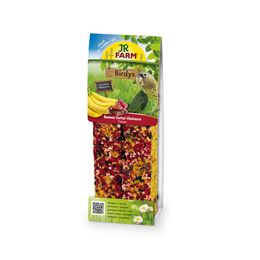 JR FARM Birdys Banane-Dattel-Himbeere 260g Vogelfutter