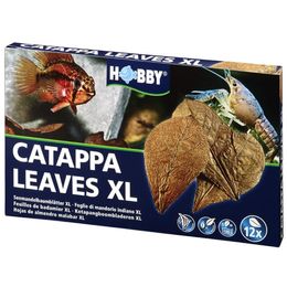 Hobby Catappa Leaves XL 12 St&uuml;ck