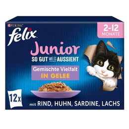 FELIX So gut wie es aussieht in Gelee Junior gemischte Vielfalt Katzen-Nassfutter unterst&uuml;tzt ein gesundes Wachstum 12x85g