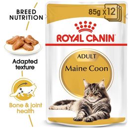 Royal Canin Maine Coon Adult Katzenfutter nass 48x85g