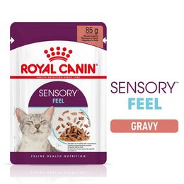 Royal Canin Sensory Feel Gravy Katzen-Nassfutter 48x85g