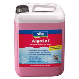 S&ouml;ll S&ouml;ll AlgoSol f&uuml;r Teiche Algenvernichter 2,5 l