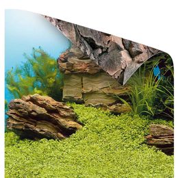 JUWEL R&uuml;ckwand Poster f&uuml;r Aquarium XL 150x60cm
