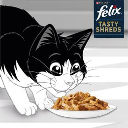 FELIX Tasty Shreds Gemischte Vielfalt Katzen-Nassfutter ohne k&uuml;nstliche Farbstoffe 10x80g