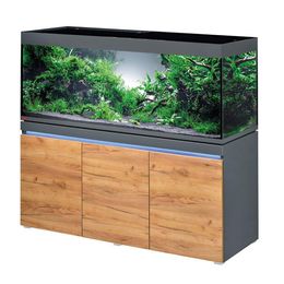 Eheim incpiria 530 S&uuml;sswasseraquarium mit LED-Beleuchtung graphit/nature