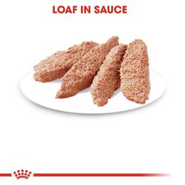Royal Canin STERILISED Mousse Katzen-Nassfutter sterilisiert 48x85g