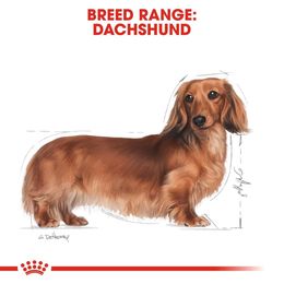 Royal Canin Dachshund Adult Hundefutter trocken f&uuml;r Dackel 2x7,5kg