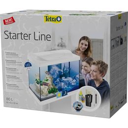Tetra Starter Line LED Aquarium 80L Einsteiger-Sets mit Filtersystem weiss