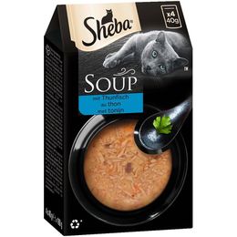 SHEBA Soup mit Thunfisch 40x40g