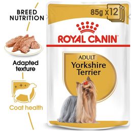 Royal Canin Breed Health Nutrition Yorkshire Terrier Hunde-Nassfutter f&uuml;r alternde Hunde 12x85g