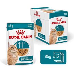 Royal Canin AGEING 11+ Jelly 12x85 g
