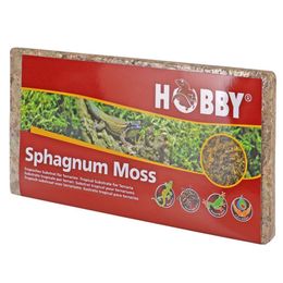 Hobby Terraristik Sphaghnum Moss 100g Terrarium Bodengrund