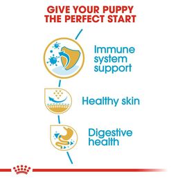 Royal Canin Pug Puppy Welpenfutter trocken f&uuml;r Mops 1,5kg