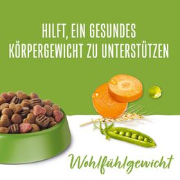PURINA Beneful Wohlf&uuml;hlgewicht, Huhn und Gem&uuml;se 2x12 kg
