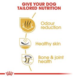 Royal Canin Bulldog Adult Hundefutter trocken 12kg