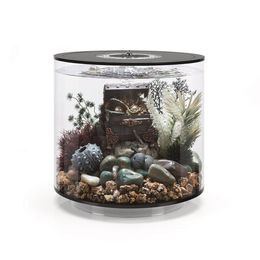 Biorb TUBE 15 LED Nano-Aquarium mit LED-Beleuchtung schwarz