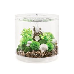 Biorb TUBE 15 LED Nano-Aquarium mit LED-Beleuchtung weiss