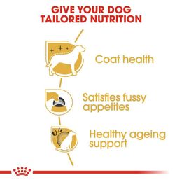 Royal Canin BHN Yorkshire Terrier Adult Hunde-Trockenfutter Fellgesundheit 7,5kg