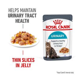 Royal Canin FCN Urinary Care Jelly Katzen-Nassfutter Harnwegsgesundheit 12x85g