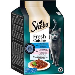 Sheba Fresh Cuisine Taste of Tokyo Thunfisch, Lachs & Wei&szlig;fisch Katzen-Nassfutter ohne k&uuml;nstliche Farbstoffe 36x50 g