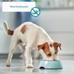 ZooRoyal Junior Mixpaket Hunde-Nassfutter getreidefrei 6x400g